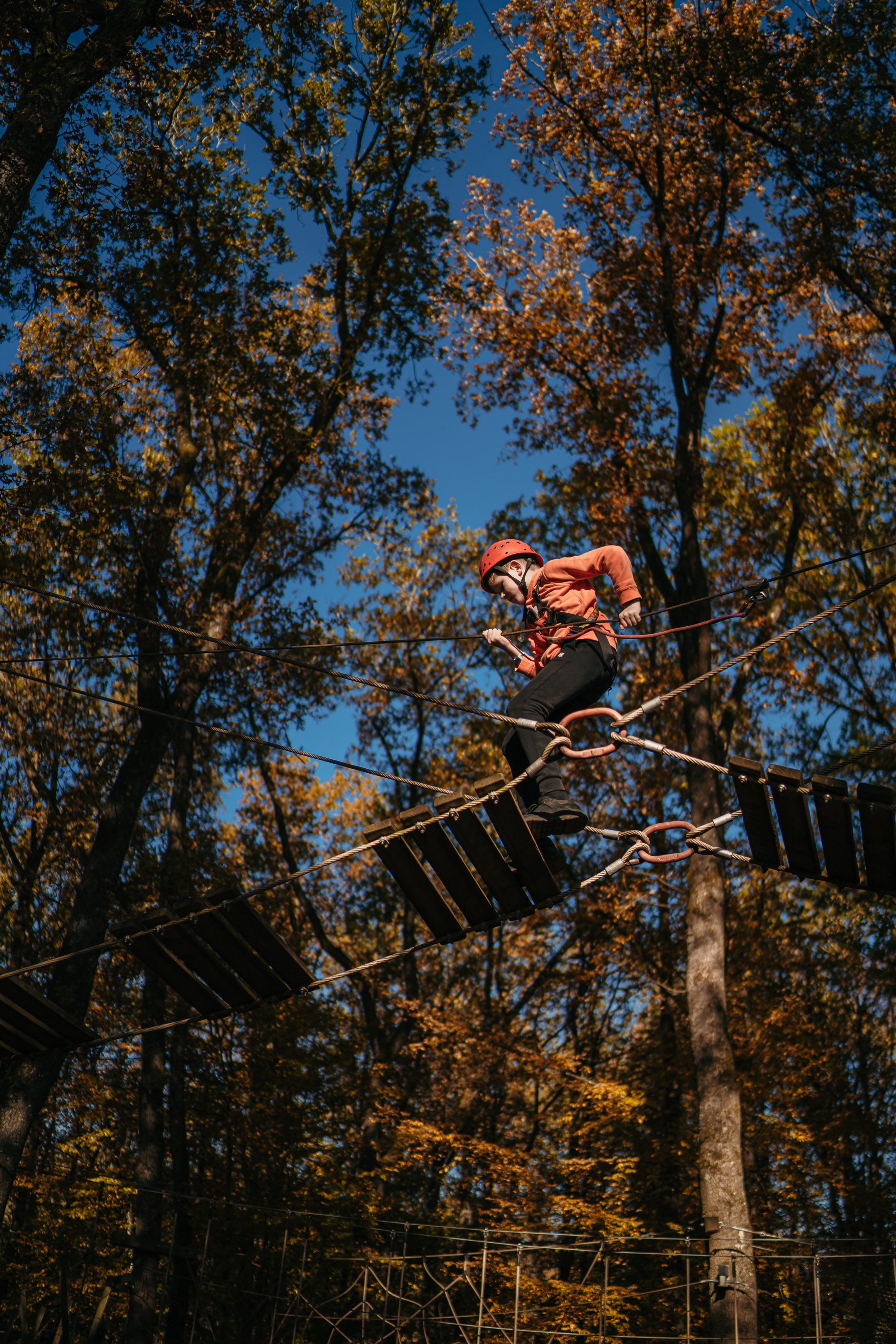 Accrobranche à Durbuy | Parcours Accrobranche en Ardenne